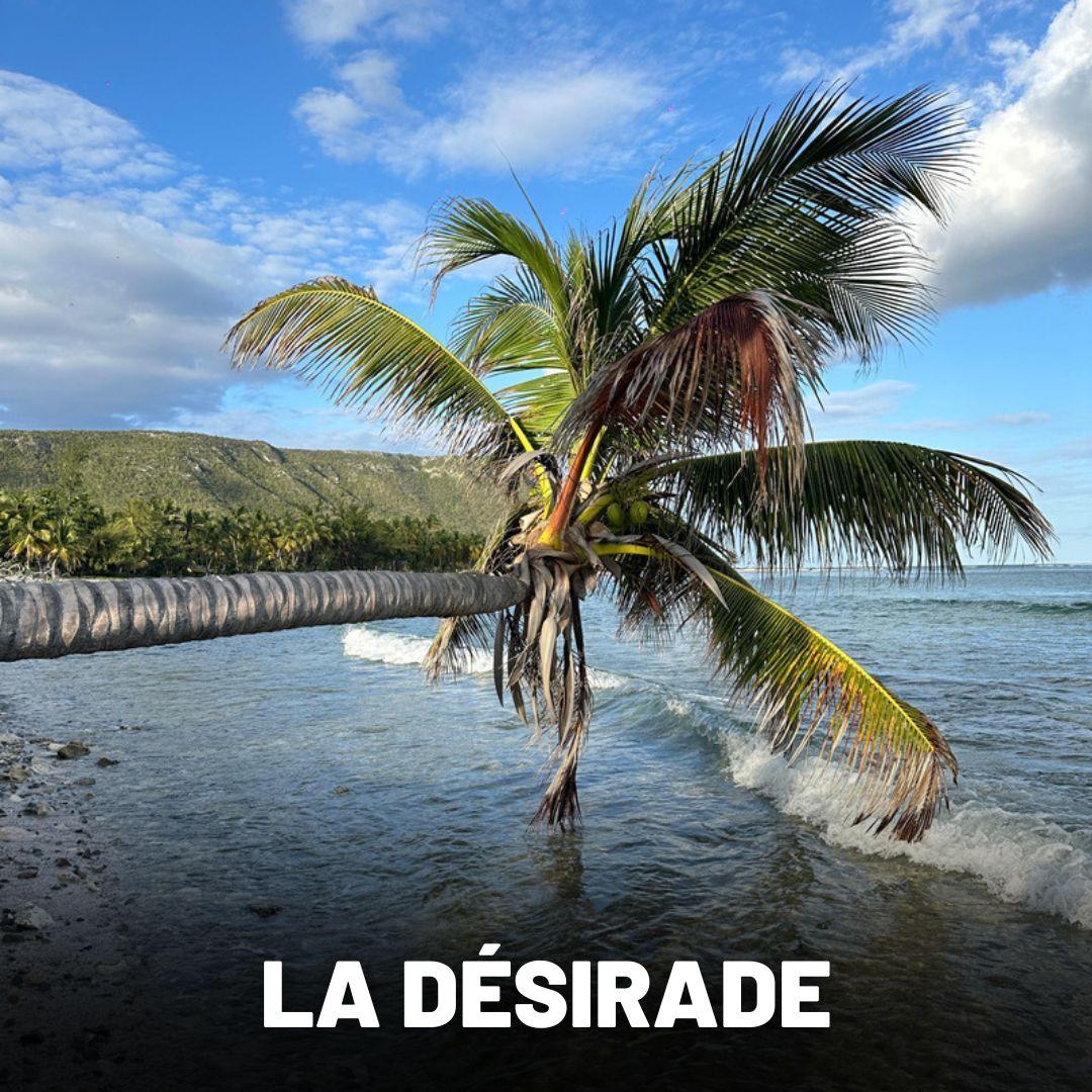 Et si votre prochaine destination était La Désirade en Guadeloupe